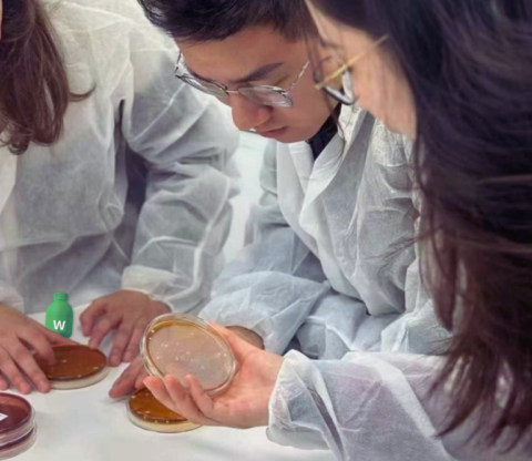 AB-LIFE® broadens its reach in Asia through partnership with Wonderlab ...